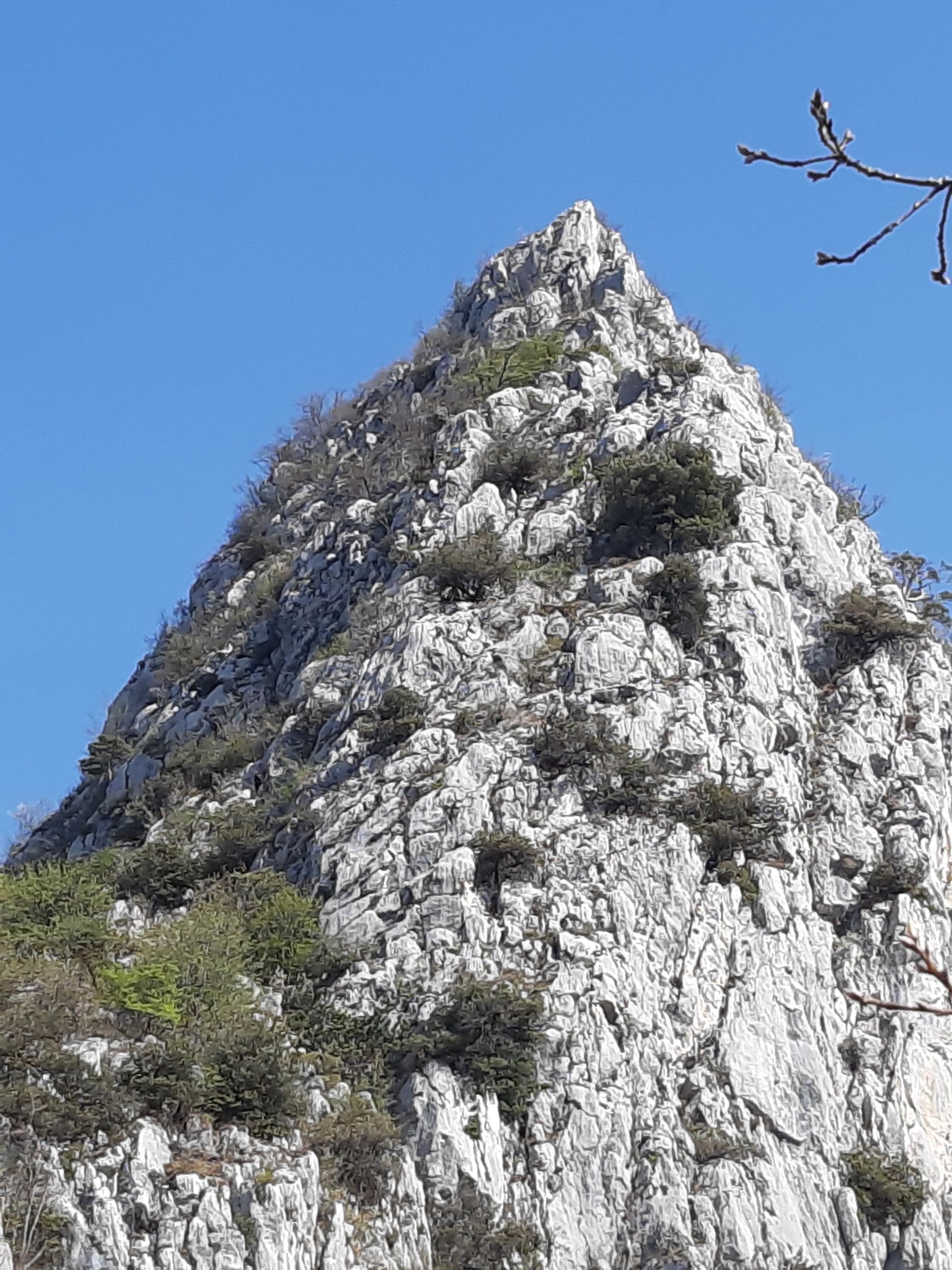 Ferrata Susatti a Cima Capi