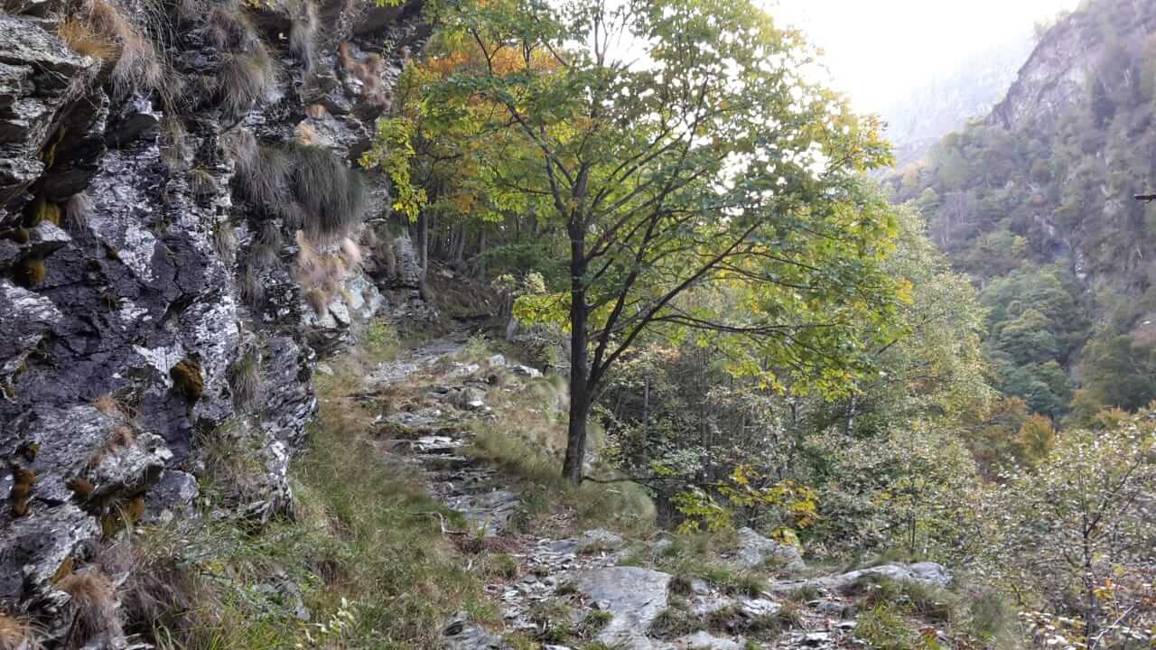 Ferrata Selvaggio Verde in Val Grande - Ferrate365