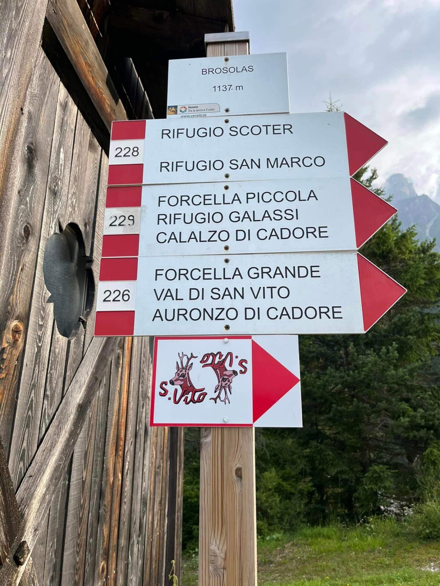 Ferrata dei Caprioli a San Vito di Cadore- Ferrate365