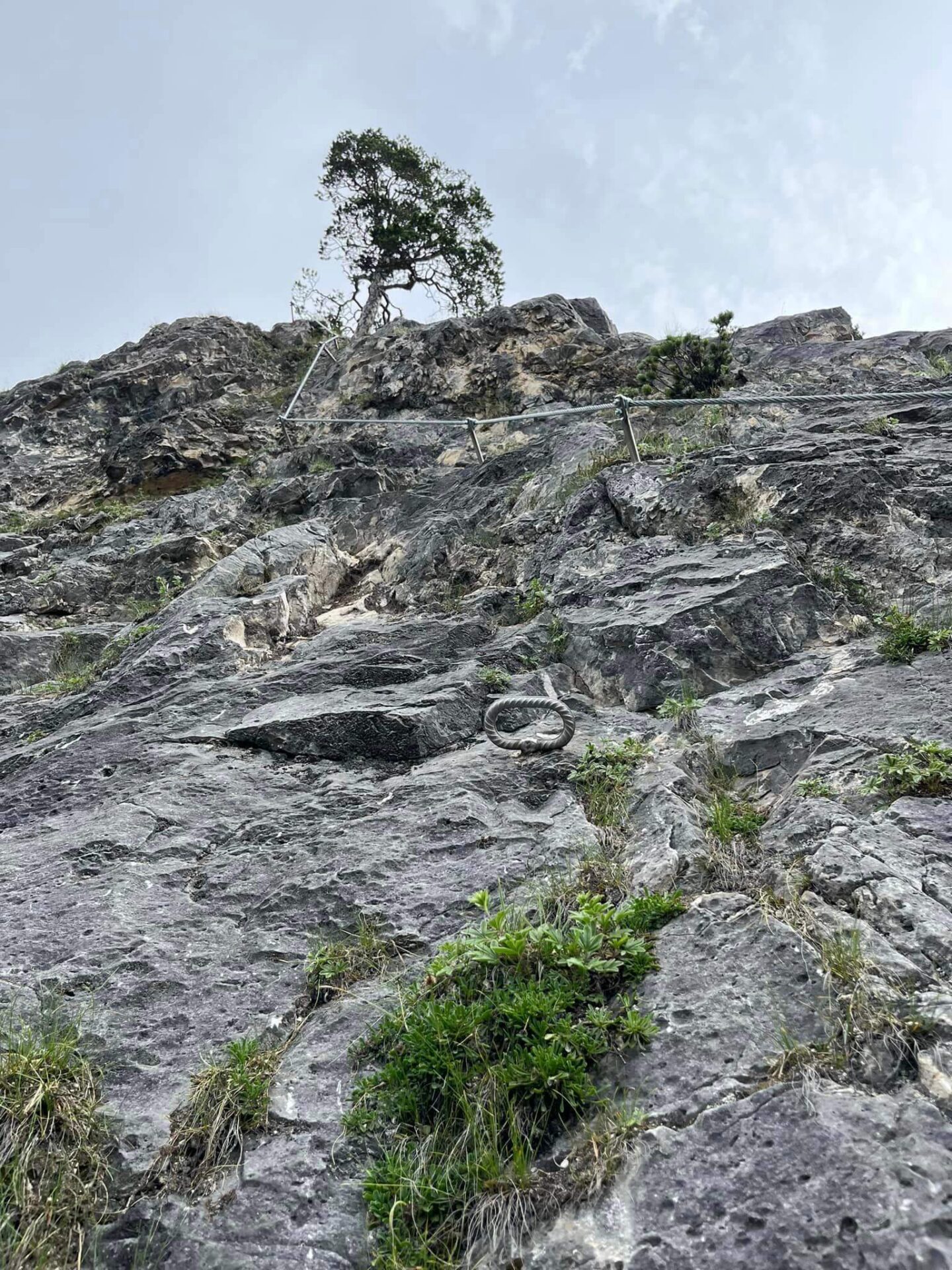 Ferrata dei Caprioli a San Vito di Cadore- Ferrate365