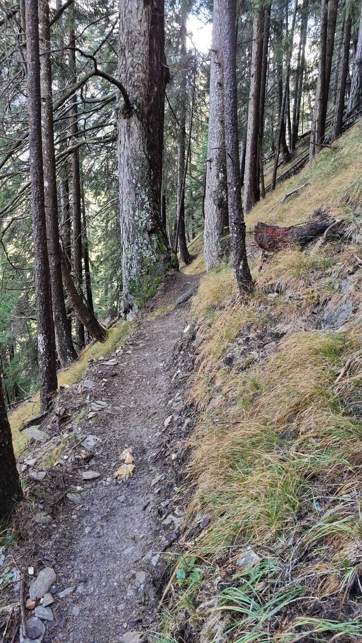 Ferrata Olberg in Val di Vizze - Ferrate365