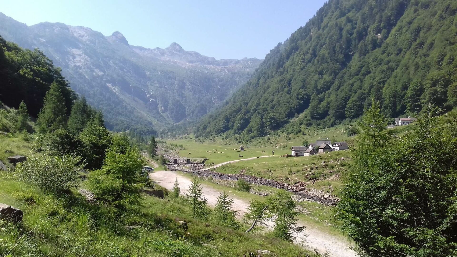 Ferrata Selvaggio Verde in Val Grande - Ferrate365