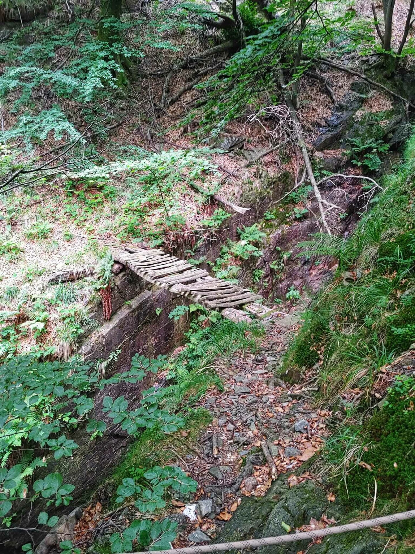 Ferrata Selvaggio Verde in Val Grande - Ferrate365