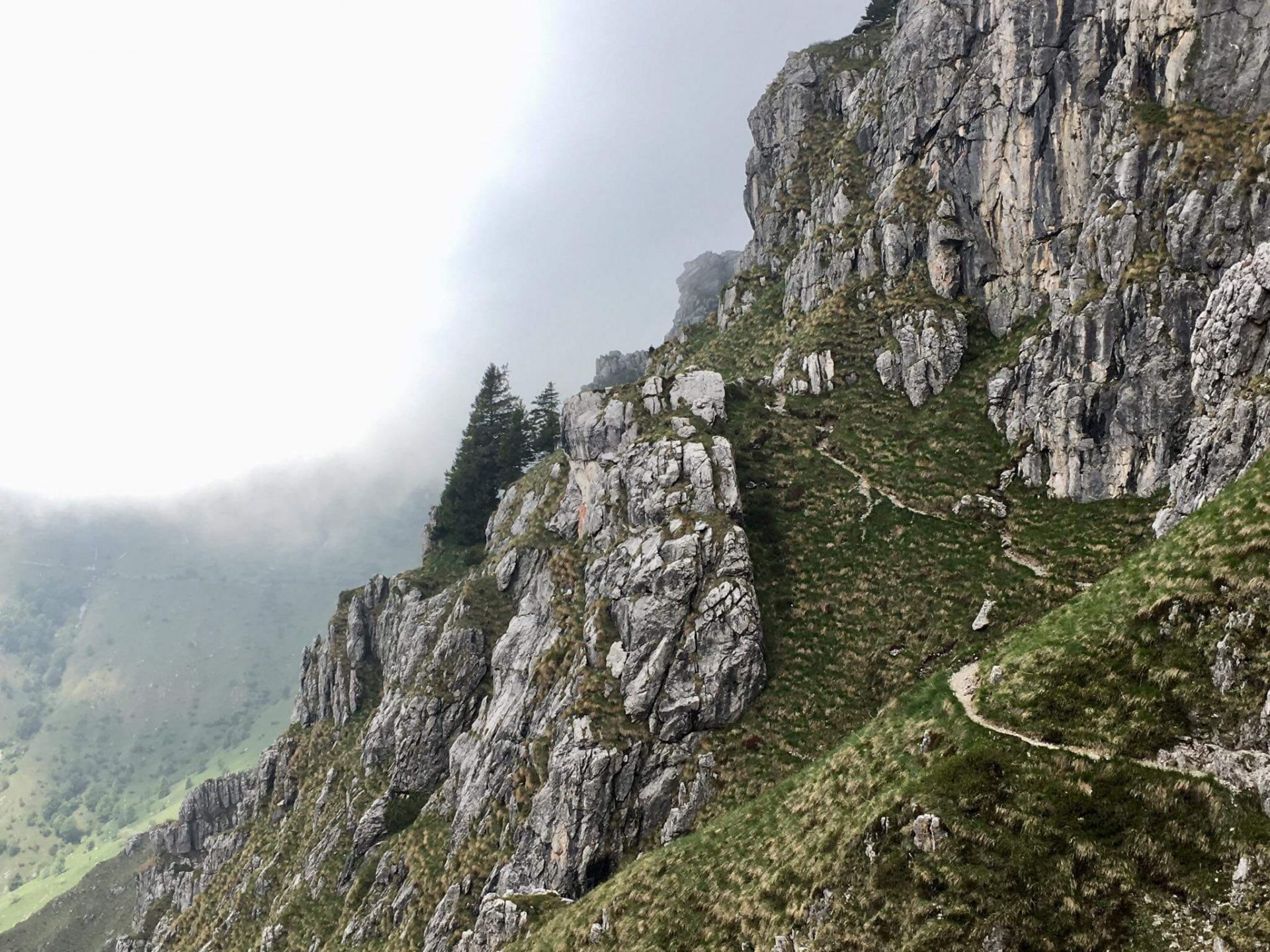 Aided path of the Stradini