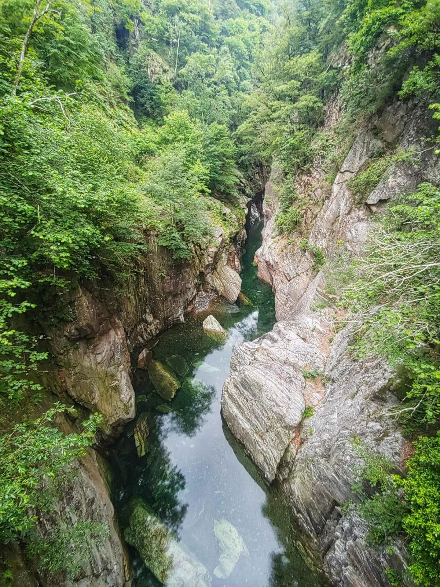Ferrata Selvaggio Verde in Val Grande - Ferrate365